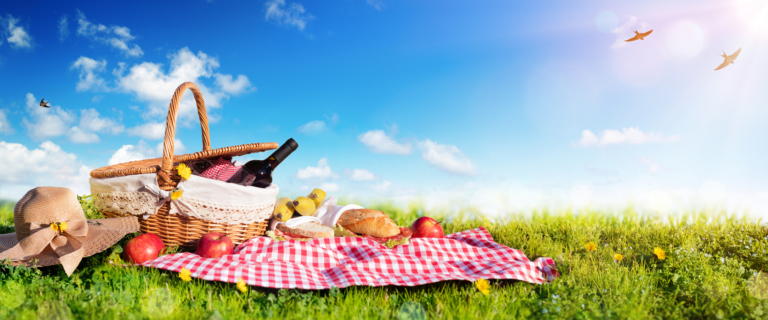 Summer Picnic Recipes | Drummond Education